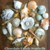 Incredible Edible Seashells & Sea Life by Andie's Specialty Sweets ...