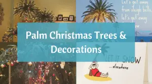 Deck the Palms - Palm Christmas Trees & Decorations to Create a ...