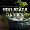 Create your very own Mini Beach Garden - Beach Bliss Living